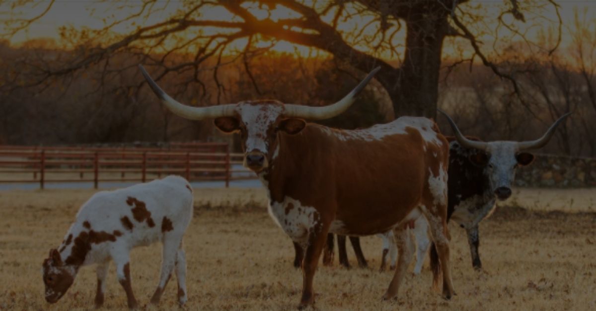 Superior Land & Homes